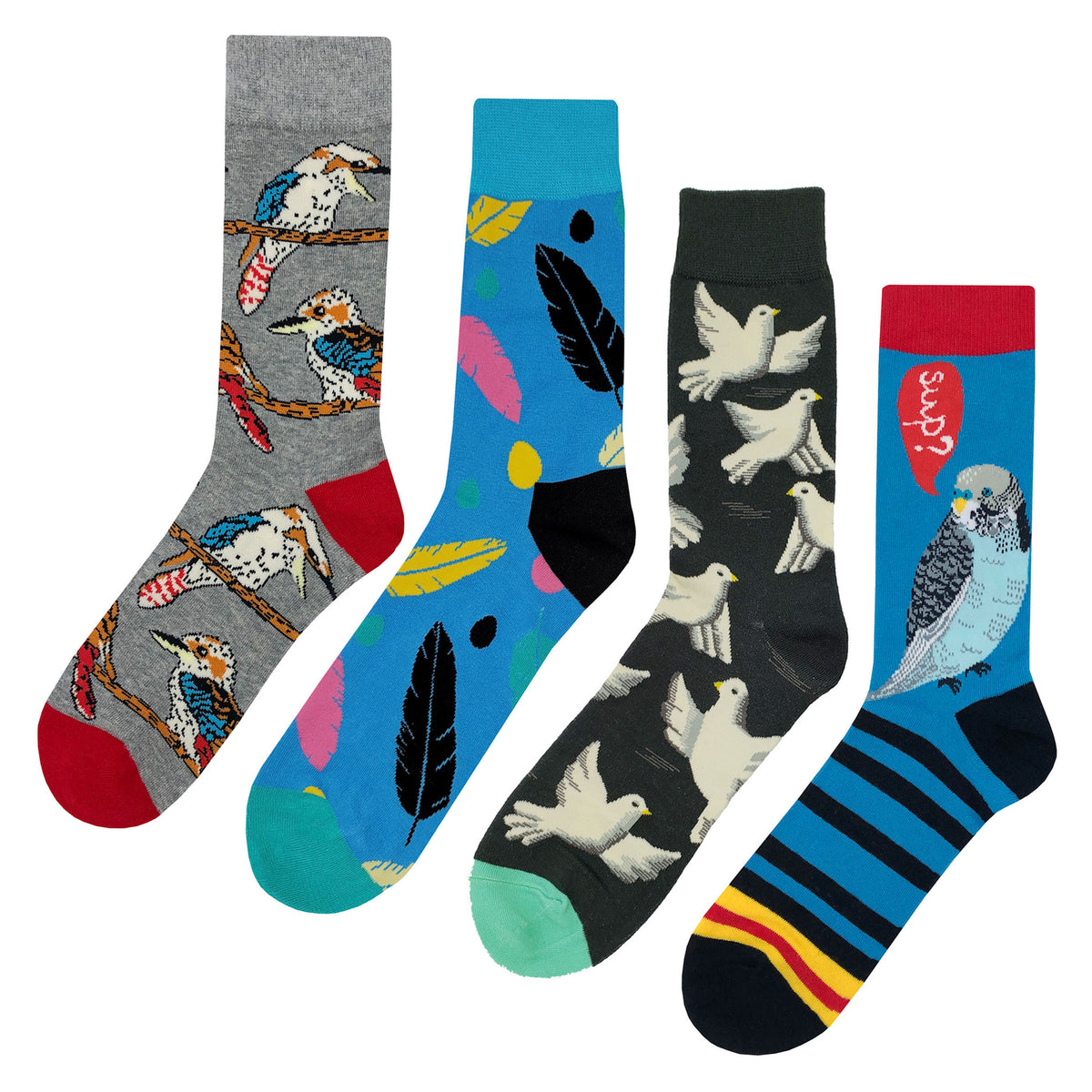 Bird Socks 4 Pack - Fun and Crazy Socks at Sockfly.com